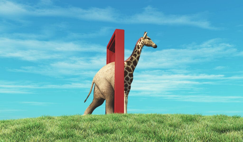 2025: Evolution statt Revolution – so geht Cybersecurity weiter – AVANTEC